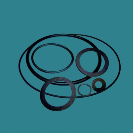 Kit ‚tanch‚it‚ pour pompe Astralpool Victoria plus de 0,5CV … 2CV